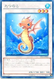 プレシャスメモリーズ 2012年以前のタイトル 【PM-TRDR】逢坂 プレシャスメモリーズ 2012年以前のタイトル 【PM-TRDR】逢坂